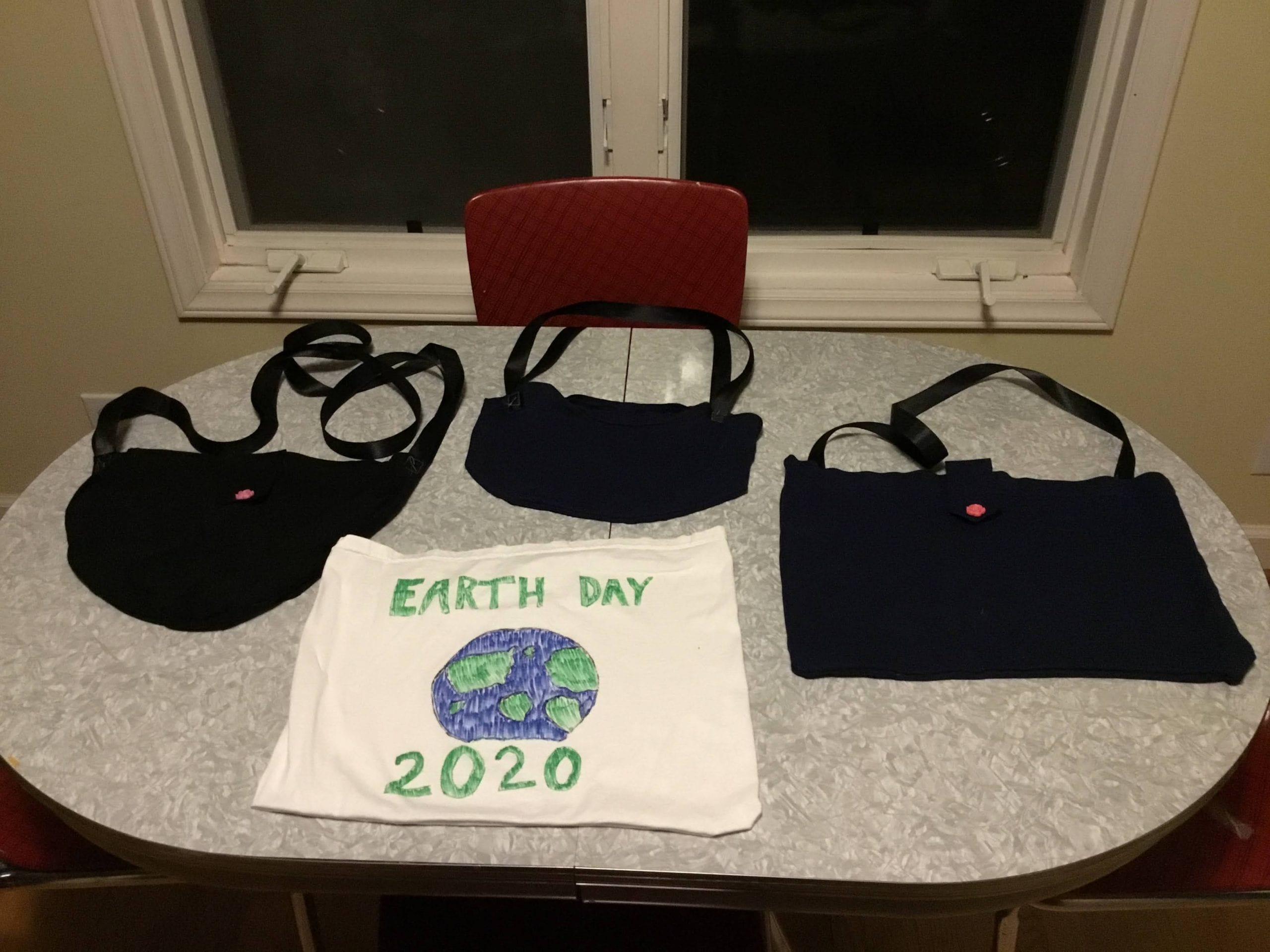 MS celebrates Earth Day in a big way - Cary Academy